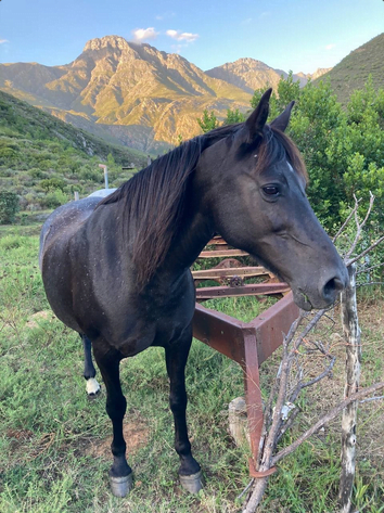 Long Valley Farm - S.O.L.O Community